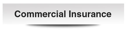 AA International Insurance Agency
