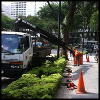 Penta Landscape Pte Ltd. 20yrs in Landscaping