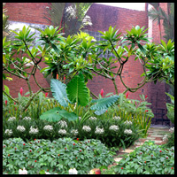 Penta Landscape Pte Ltd. 20yrs in Landscaping