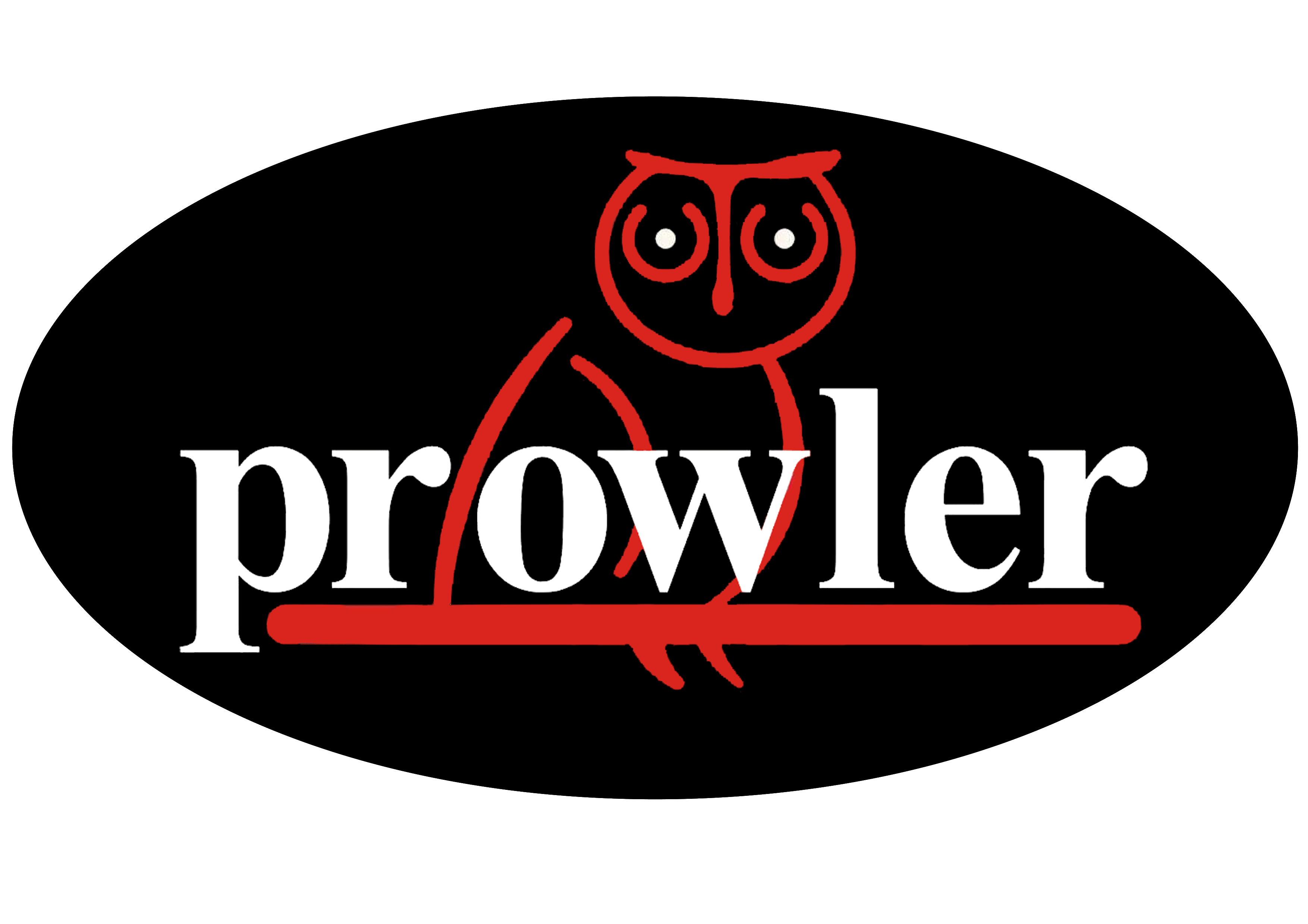 Prowler International - Your one stop CCTV Surveillance service provider