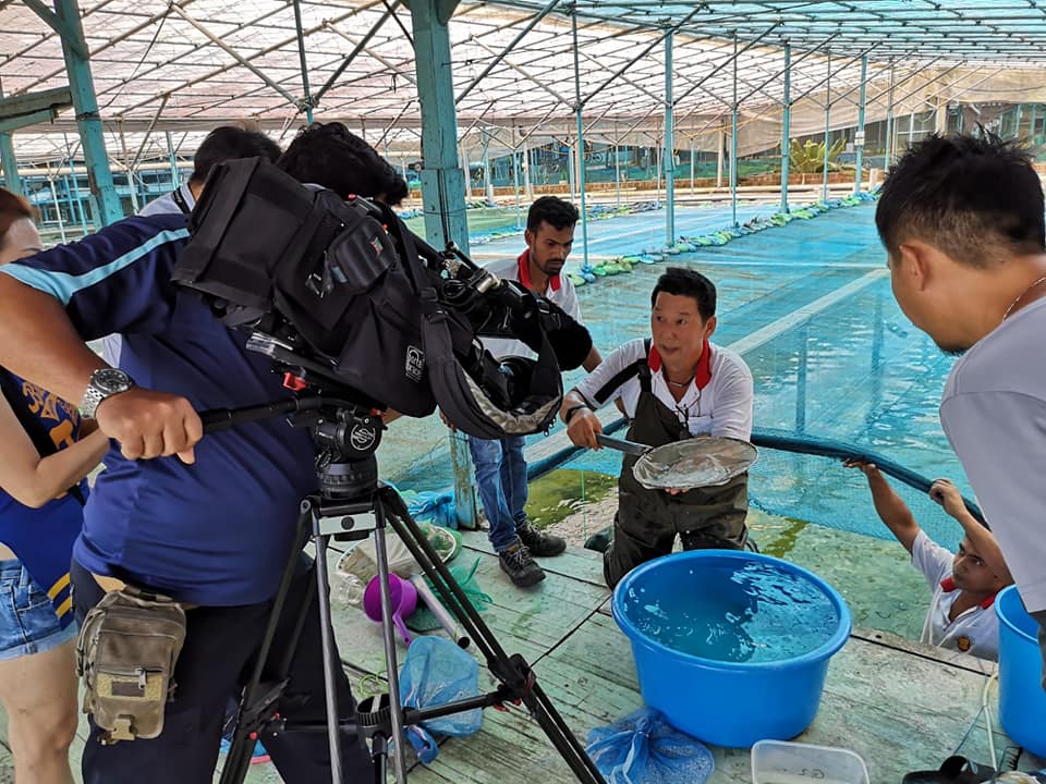 Nippon Koi Farm Pte Ltd @ Nippon Koi Farm