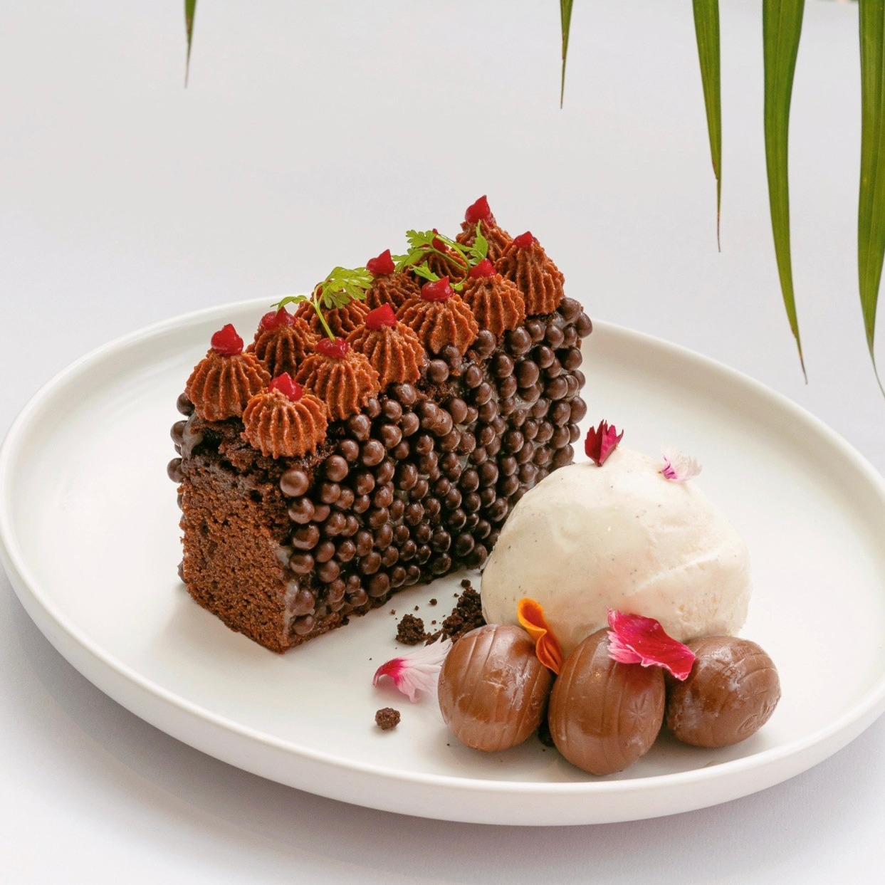 Dewgather @ The Star Vista