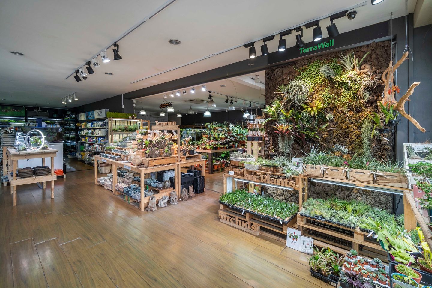 Green Chapter @ Standard Photo