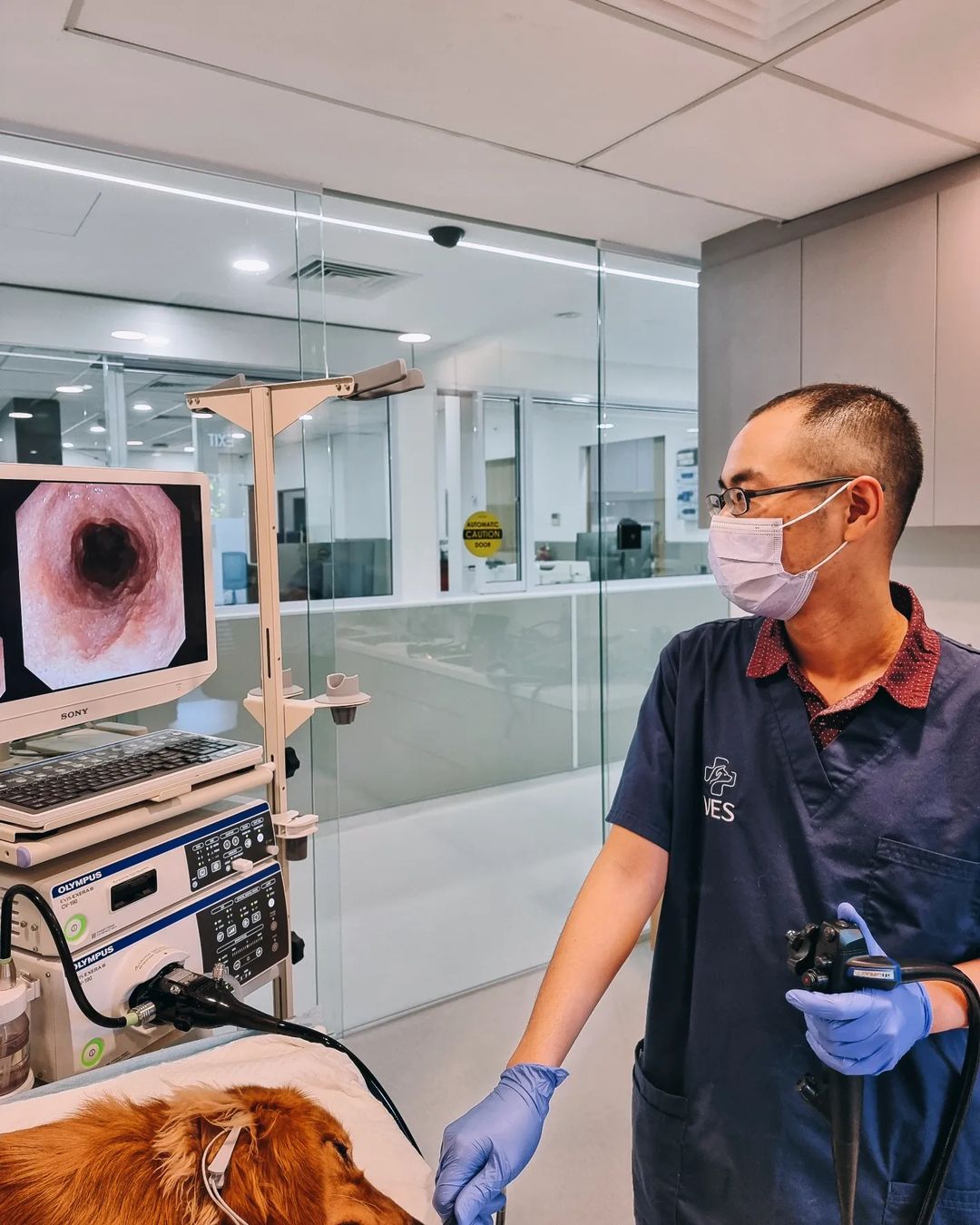 VES Hospital Pte Ltd @ 2 Rochdale Road