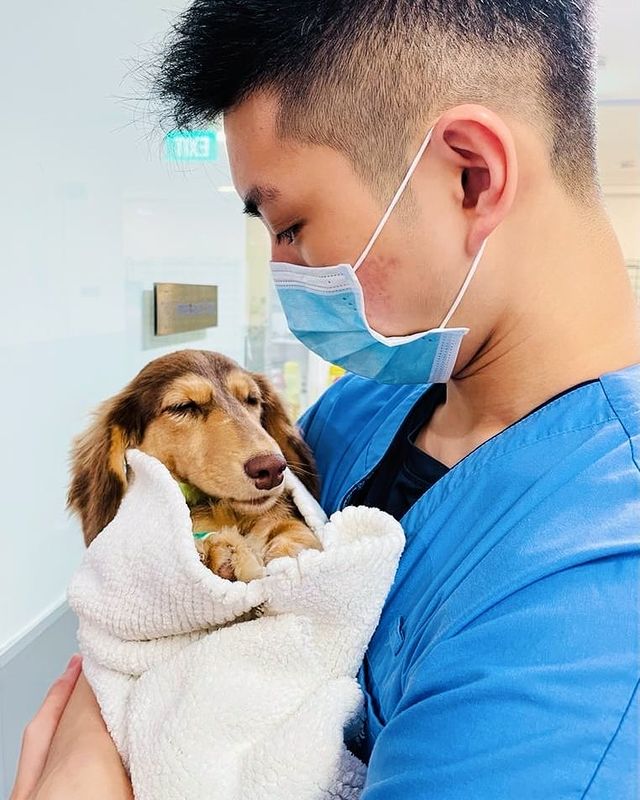 VES Hospital Pte Ltd @ 2 Rochdale Road