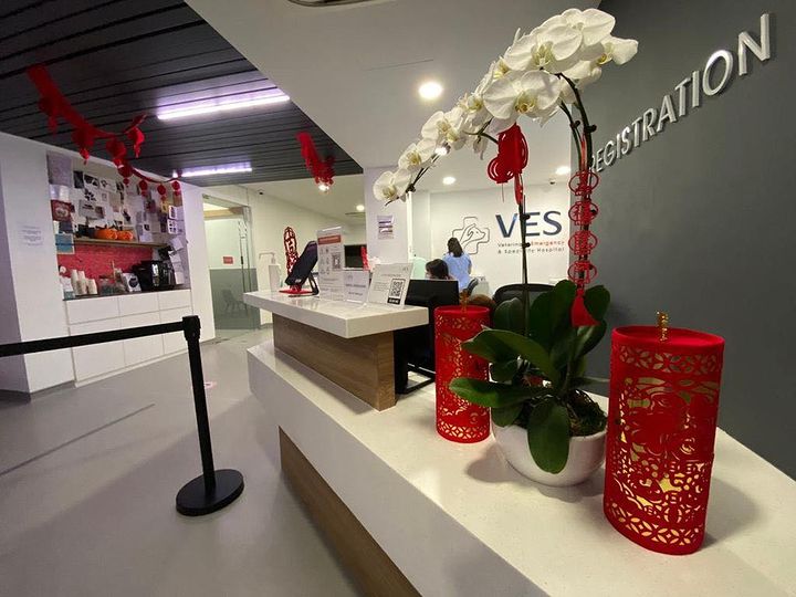 VES Hospital Pte Ltd @ 2 Rochdale Road