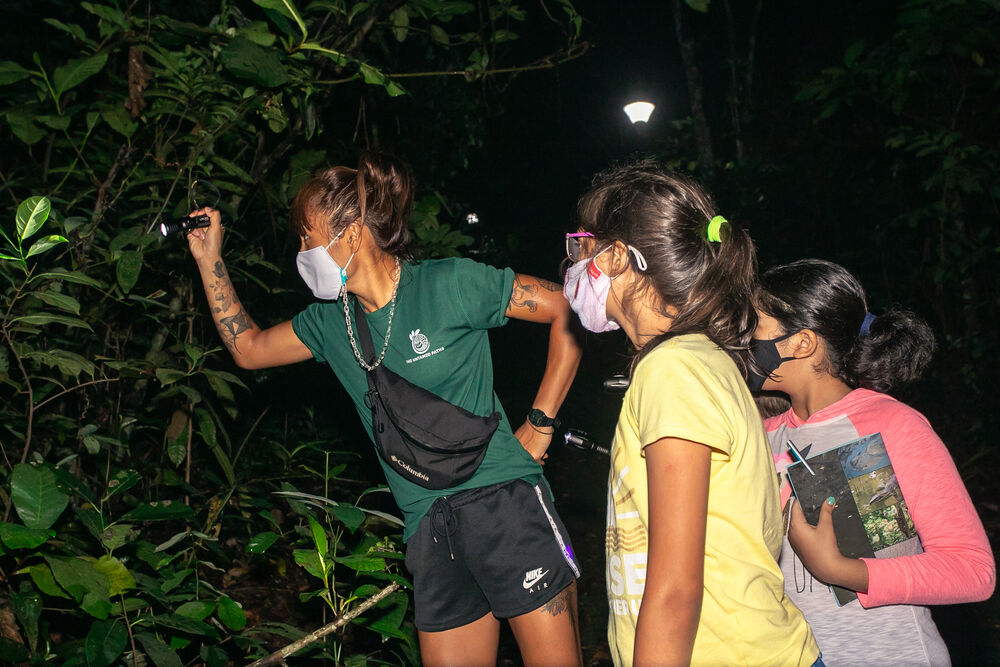 Naturalist Night Adventure by The Untamed Paths @ Bukit Batok Bus ...