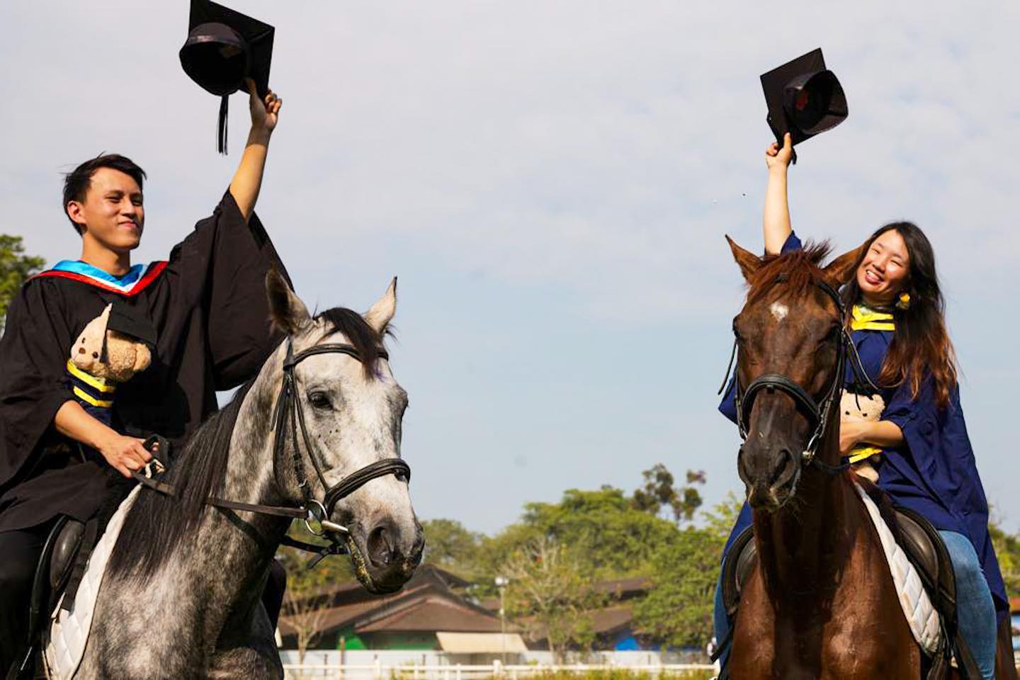 Horsecity Gallop Stable @ Horse Garden - Horsecity