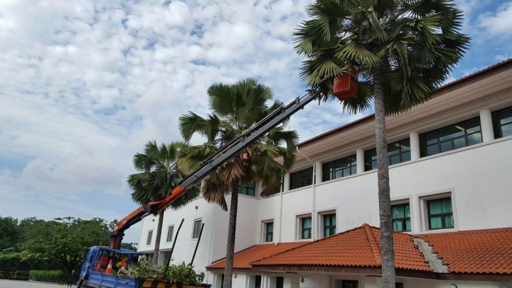 BSG Landscape & Construction Pte Ltd @ Northpoint Bizhub