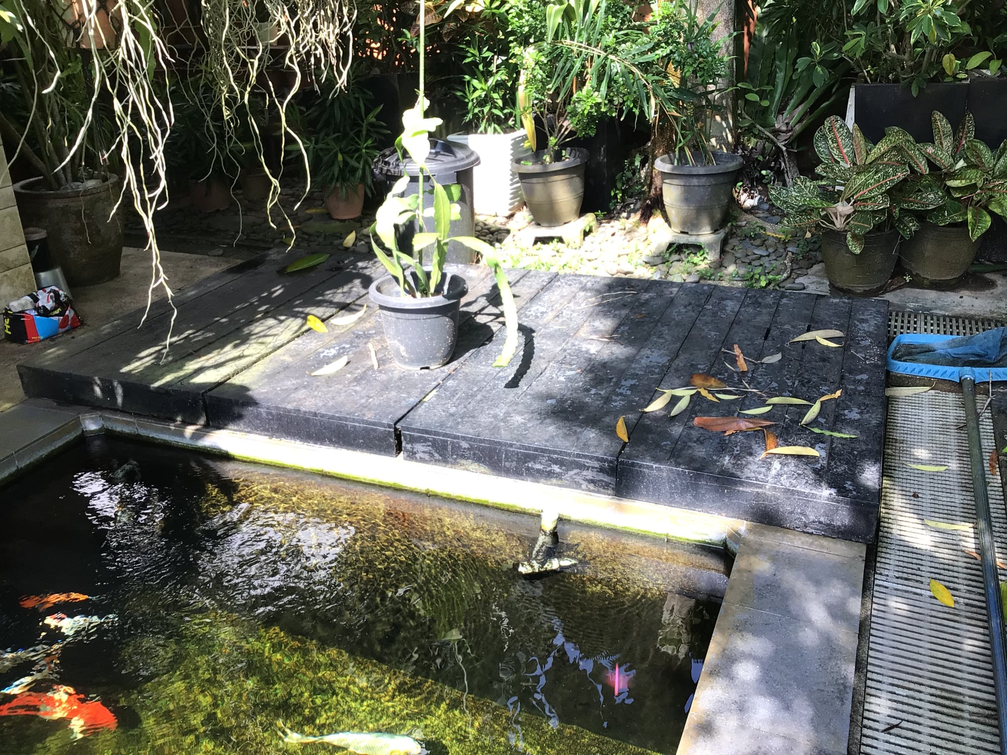 Polydeck Composites Pte Ltd @ PolyDeck