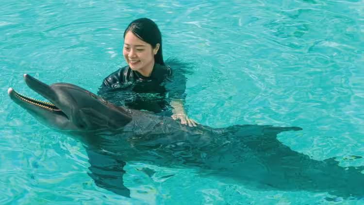 Dolphin Island @ Marine Life Park - Resorts World at Sentosa