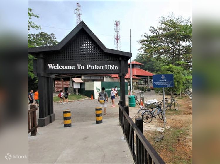 Rustic Ubin and Wetlands Tour in Pulau Ubin and Chek Jawa @ Changi ...