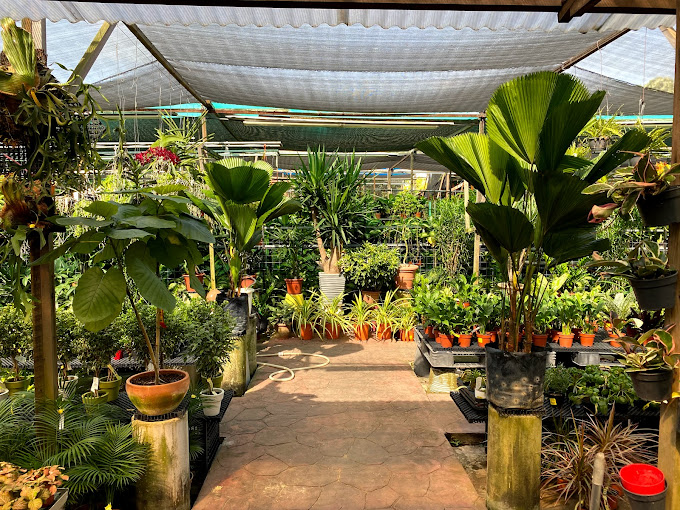 Bedok Garden Landscape | Bedok Garden