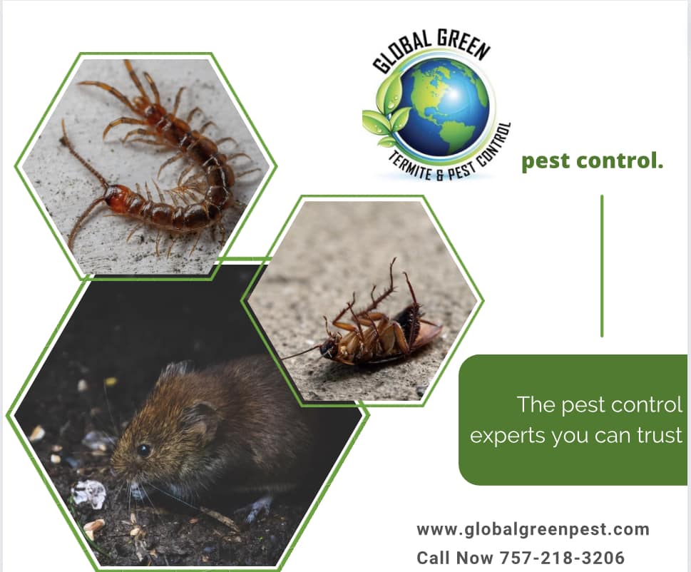 Global Green Pest Management @ Farmart Centre